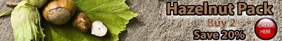 Rose Apple - Syzygium jambos