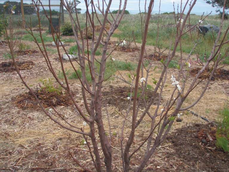 Forum: Cold, wet spring