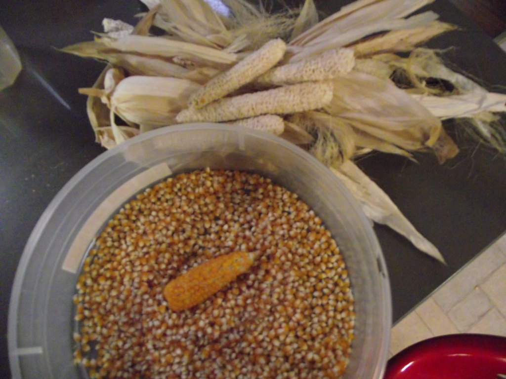 Forum: Popcorn anyone?