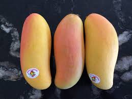 My Edible Fruit Trees: Mango Trees