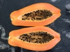 Buy Pawpaw Plant - Southern Red (Carica papaya)