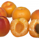 Buy Apricot Fruit Tree - All Varieties (Prunus armeniaca)