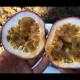Passionfruit Panama Red Pandora Tree - Passiflora edulis