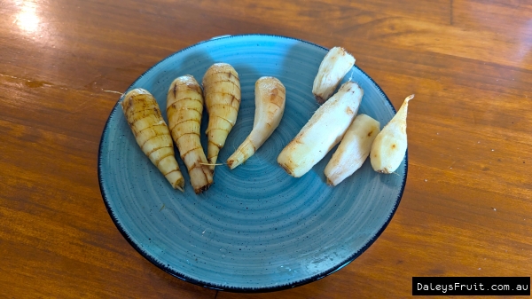 Buy West Indian Arrowroot plants - Maranta arundinacea