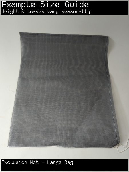 Buy Fruit Fly Control Netting - Large Bag 30X30CM 2 Pack