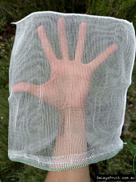 Buy Fruit Fly Control Netting - Large Bag 30X30CM 2 Pack